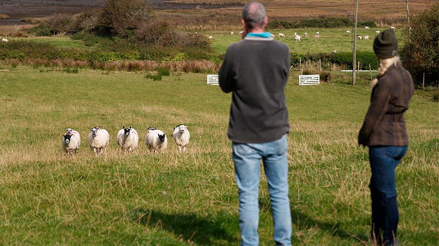 "Silvia entdeckt Irland": Die Rezepte vom 9. März - extra.ORF.at