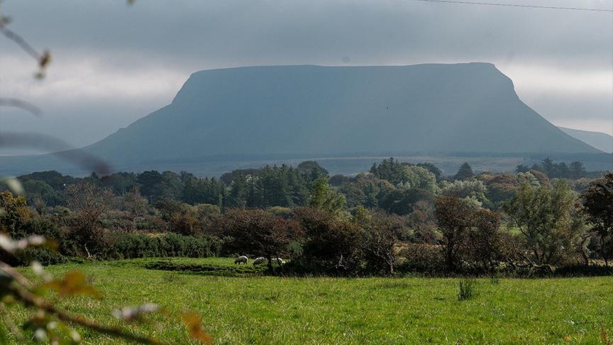 "Silvia entdeckt Irland": Die Rezepte vom 9. März - extra.ORF.at